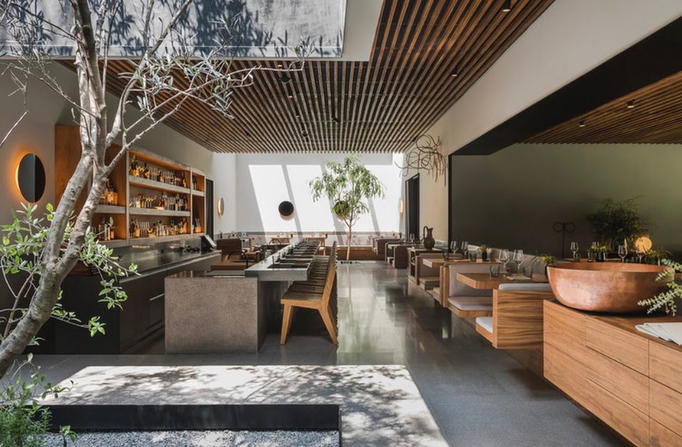 TOP 5 mejores restaurantes de la CDMX | Estilo de Vida