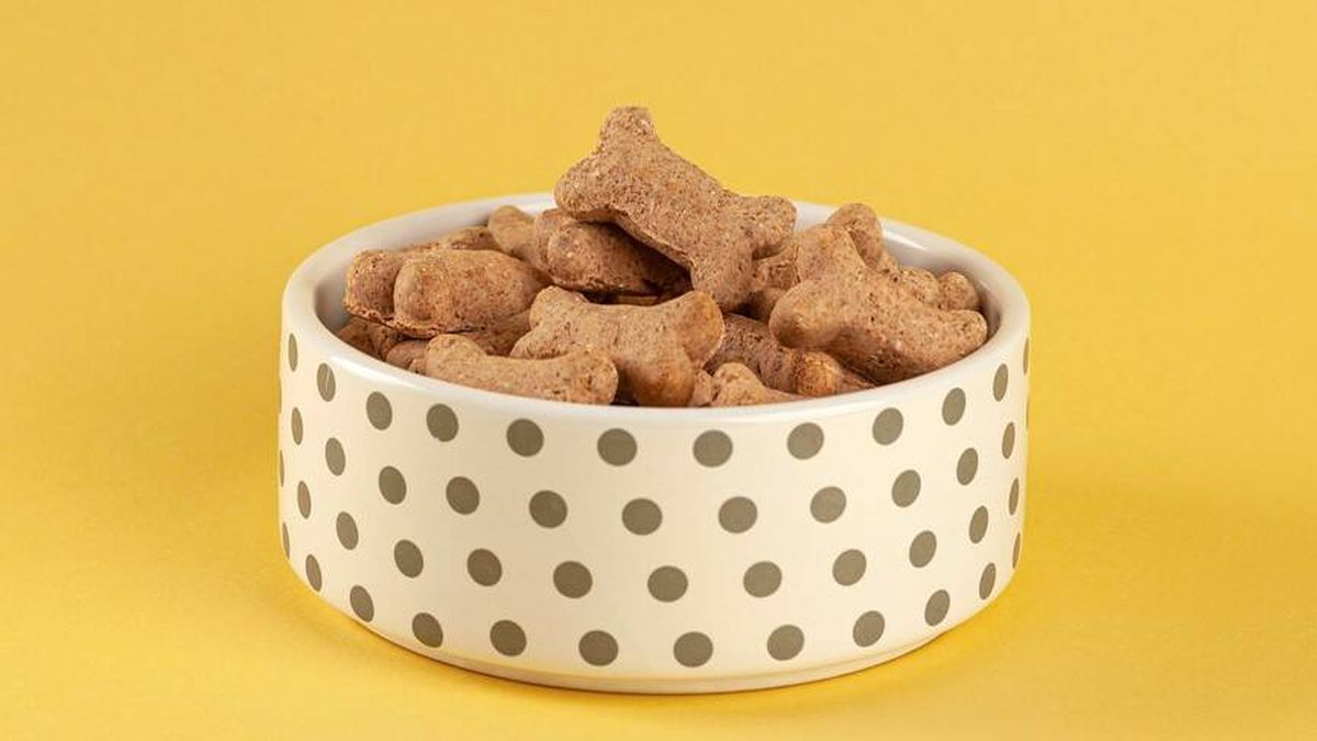 ¿Es saludable comer comida de perro? | Gastronomía