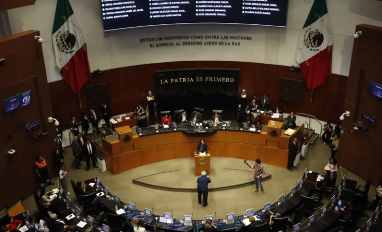 Senado aprueba apoyo económico para jóvenes desempleados | Política