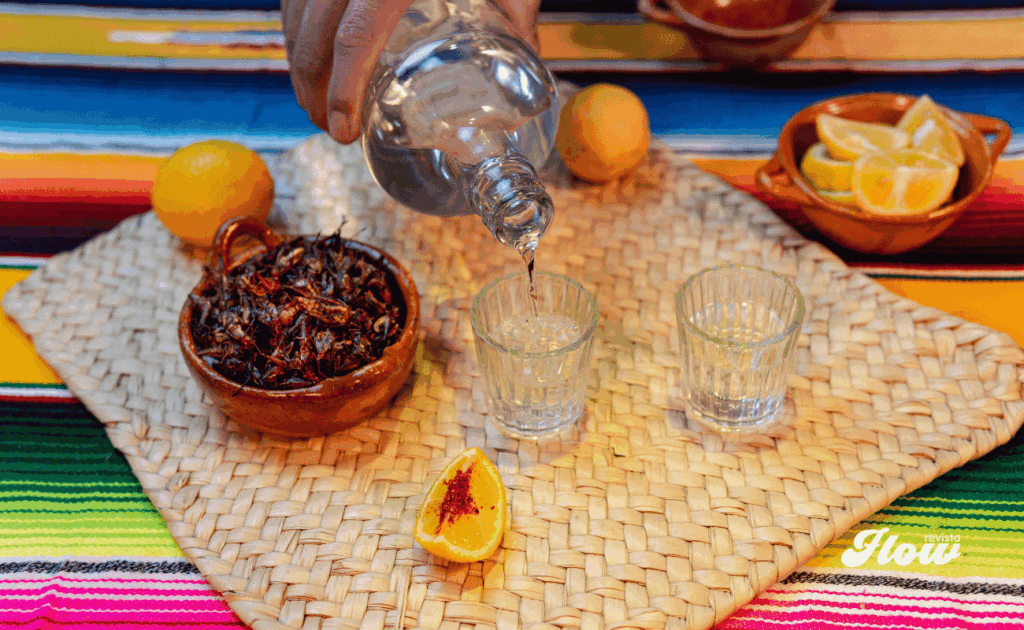 Festival del Pulque, Mezcal y Gastronomía celebra su 9ª edición en CDMX ...